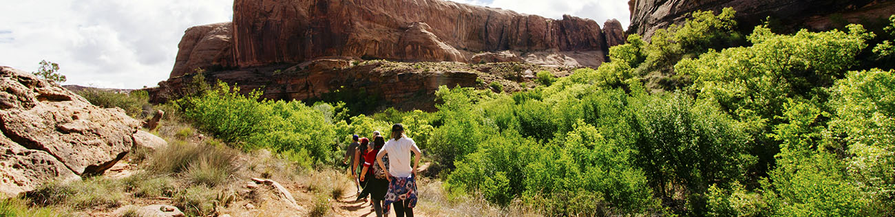 Phoenix Fray - Never Stop Playing!