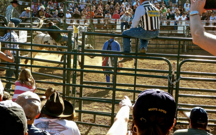 buffalo_buffalo chip saloon - PHX Fray