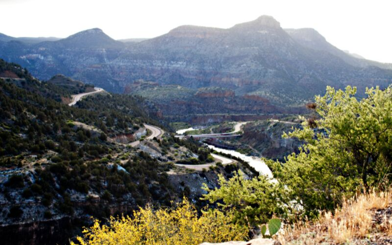 Salt River Floating: Guide to Survival - PHX Fray