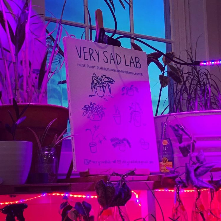 “Very Sad Lab: The Incubator” Explores the Human + Plant Connection ...